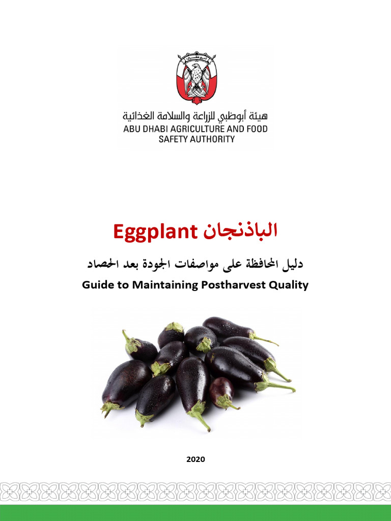 Eggplant | PDF