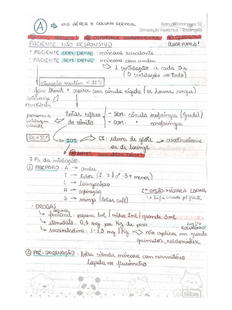 Resumos LSR RosÃ Ngela | PDF