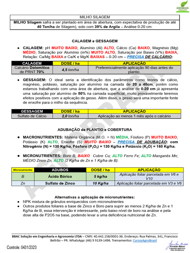 Exemplo Milho Silagem 40 Ton - Ha1 | PDF | Micronutriente | Substancias químicas