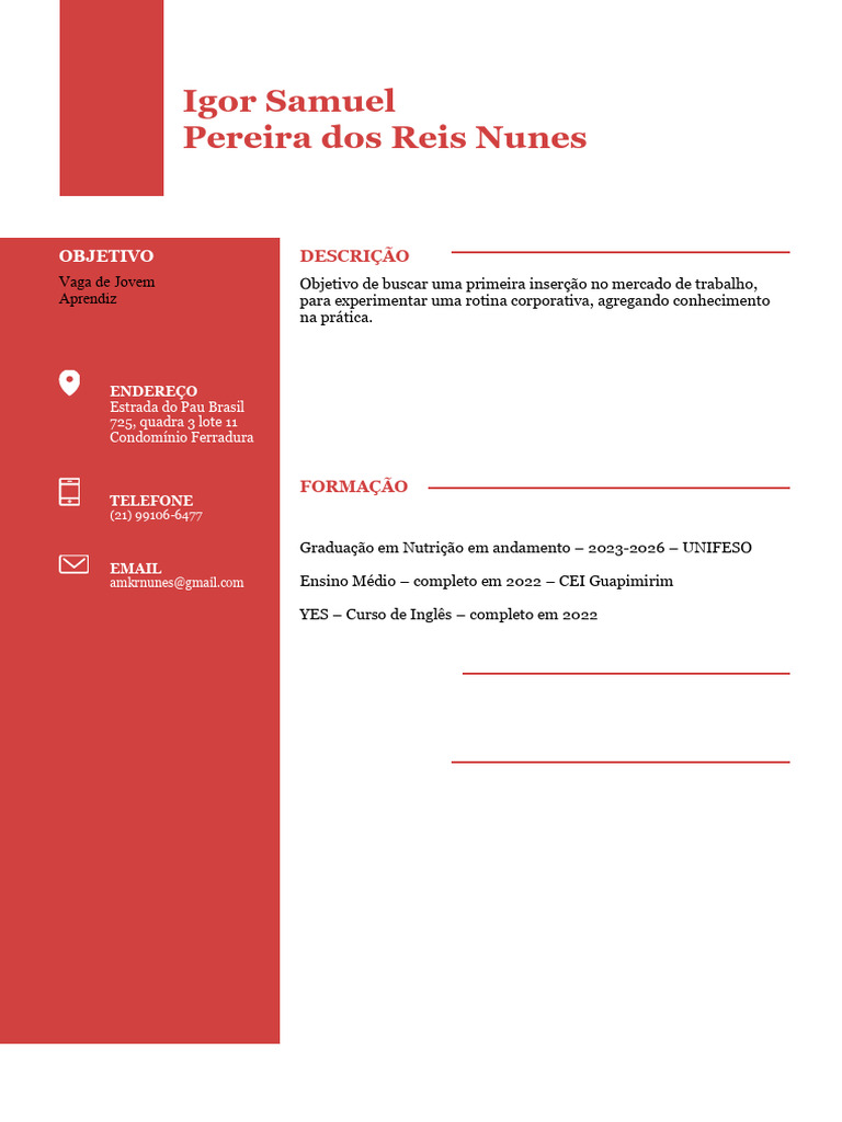 Currículo Igor 2025 | PDF