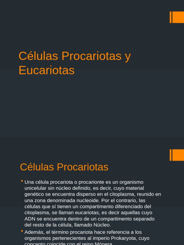 3-Células Procariotas y Eucariotas. | PDF | Eucariotas | Biología Celular)