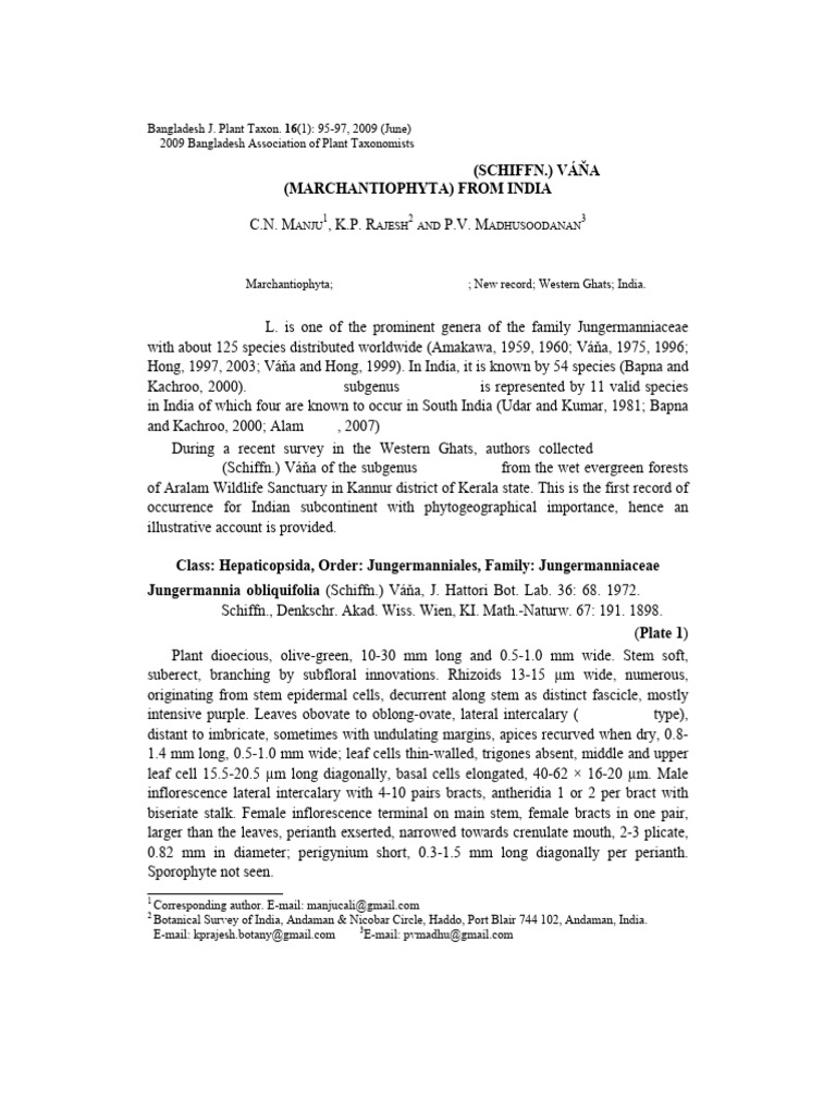 Jungermannia Obliquifolia Schiffn VANA M | PDF | Leaf | Plant Morphology
