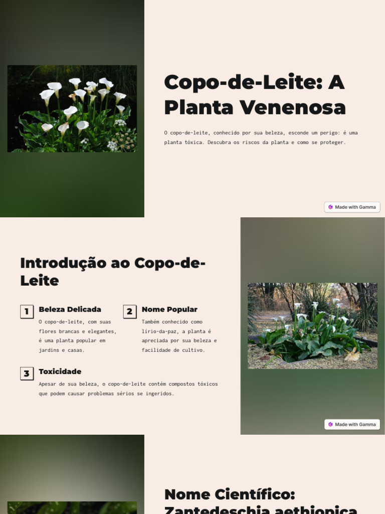 Copo-de-Leite-A-Planta-Venenosa (1) | PDF