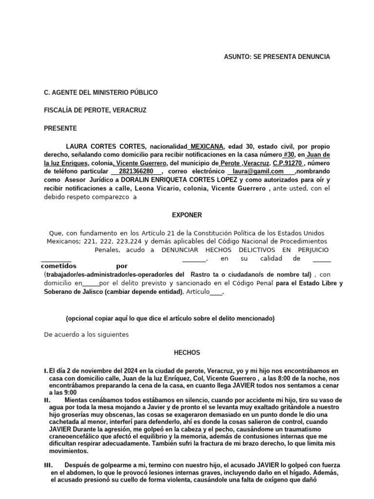 Formato Denuncia Penal | PDF | Justicia | Crimen y violencia