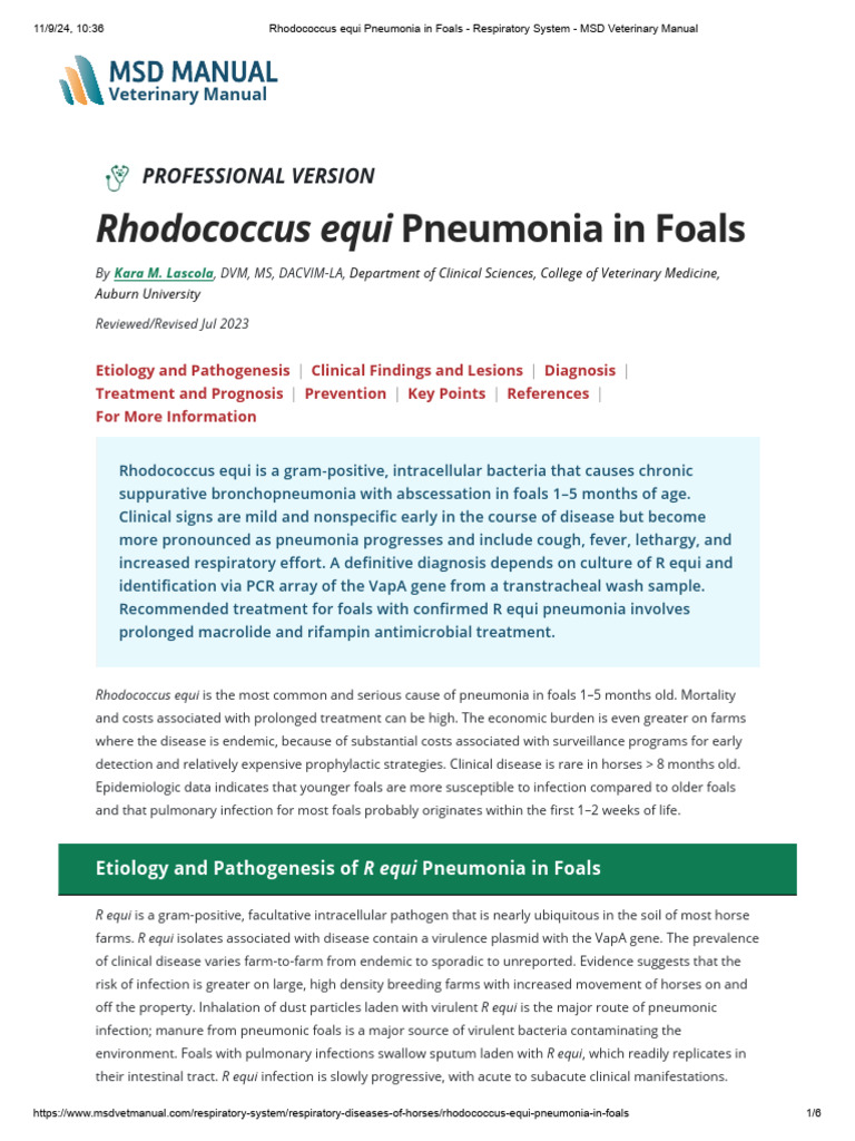 Rhodococcus Equi Pneumonia in Foals - Respiratory System - MSD ...