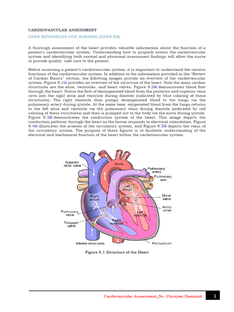 Cardiovascular Assessment | PDF | Heart | Heart Valve