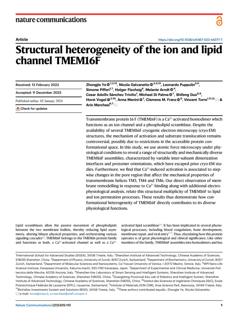Structural Heterogeneity of The Ion and Lipid Channel TMEM16F | PDF | Cell Membrane | Ion Channel