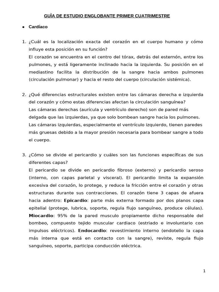 Guía de Estudio del Corazón: Funciones y Estructura | PDF | Sistema ...