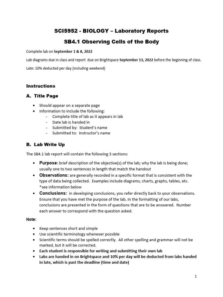SB4.1 Lab Handout F22 | PDF | Plagiarism | Drawing