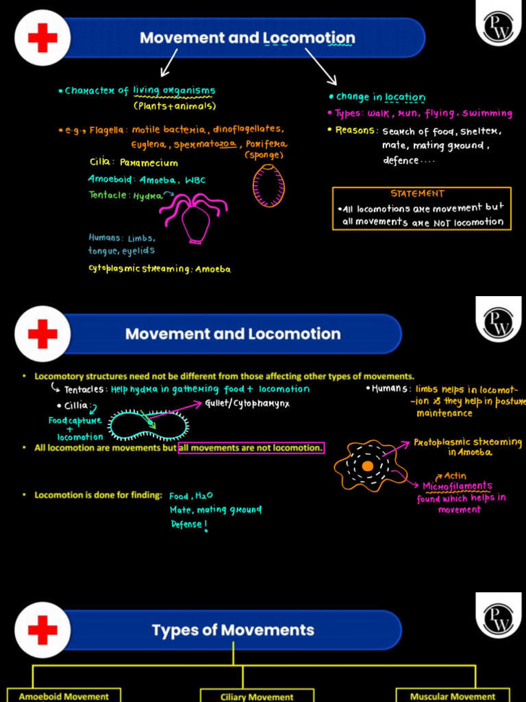 Locomotion Notes | PDF