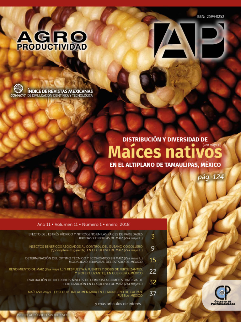 Maiz | PDF | Maíz | México