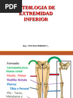 10 Tibia y Perone | PDF | Anatomía del miembro inferior | Sistema musculoesquelético