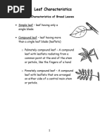 Leaf Dichotomous Key | PDF | Leaf | Branches Of Botany