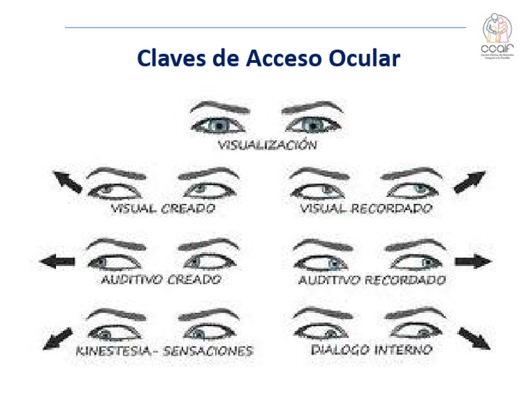 Claves de acceso ocular | PDF