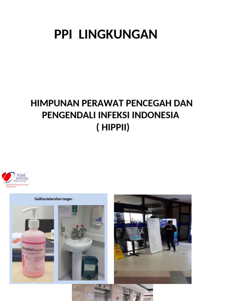 Presentasi Lingkungan Sesuai Ppi Oke | PDF