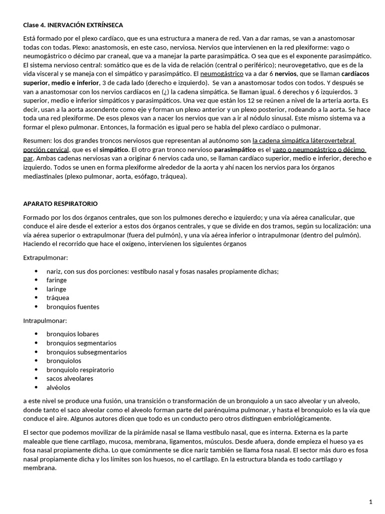 Corazon Inervacion Intrinseca y Extrinseca | PDF | Laringe | Nervio vago
