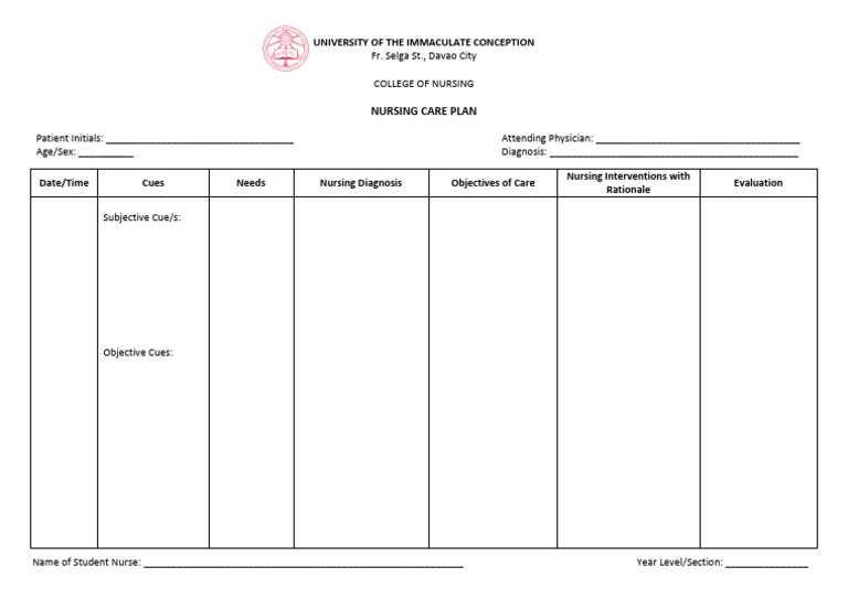 NCP-Template (2) | PDF