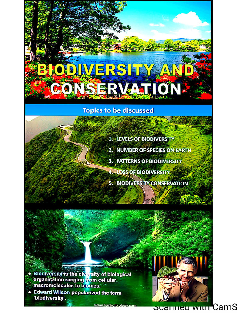 Ch. 13 - Bio Diversity & Conservation | PDF