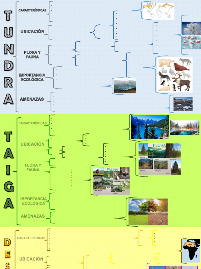 Biomas y Sus Ecosistemas | PDF | Desierto | Pradera