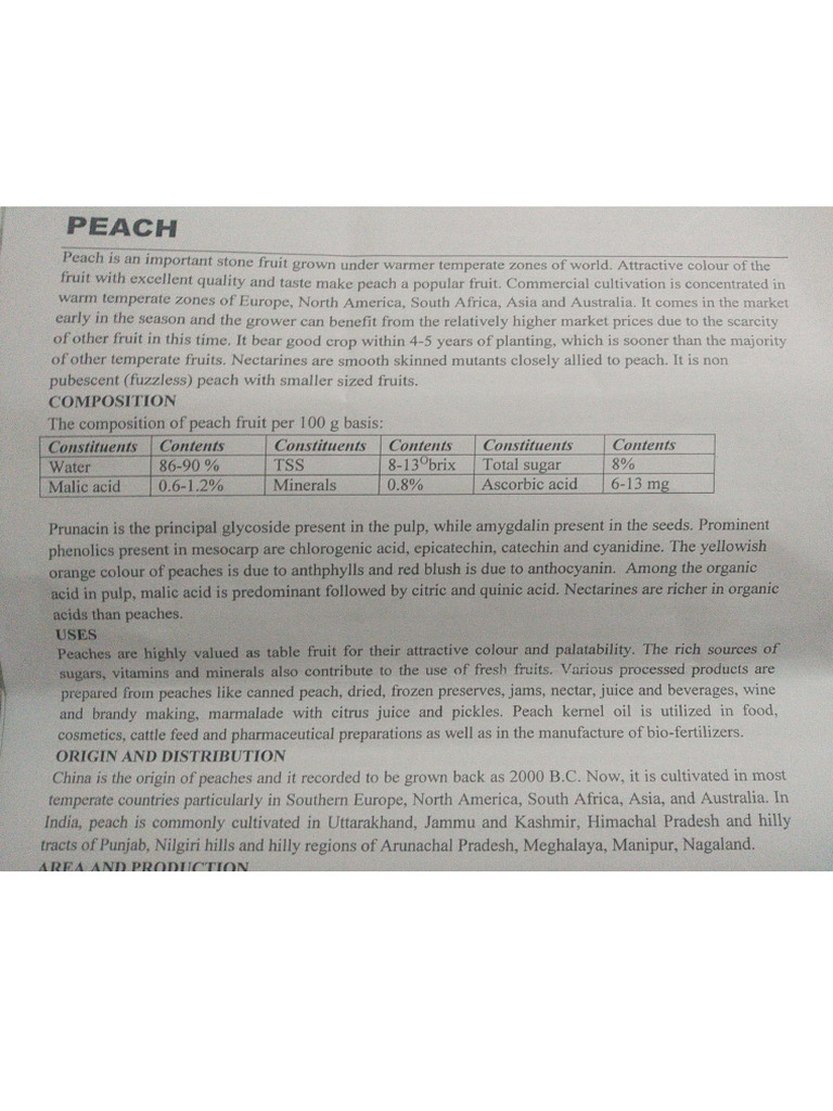 Peach Compiled Note | PDF