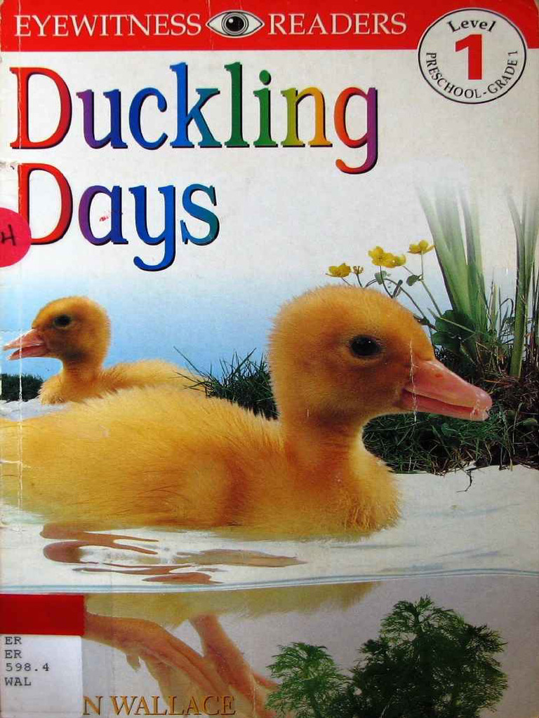 DK Eyewitness Readers L1 - Duckling Days | PDF