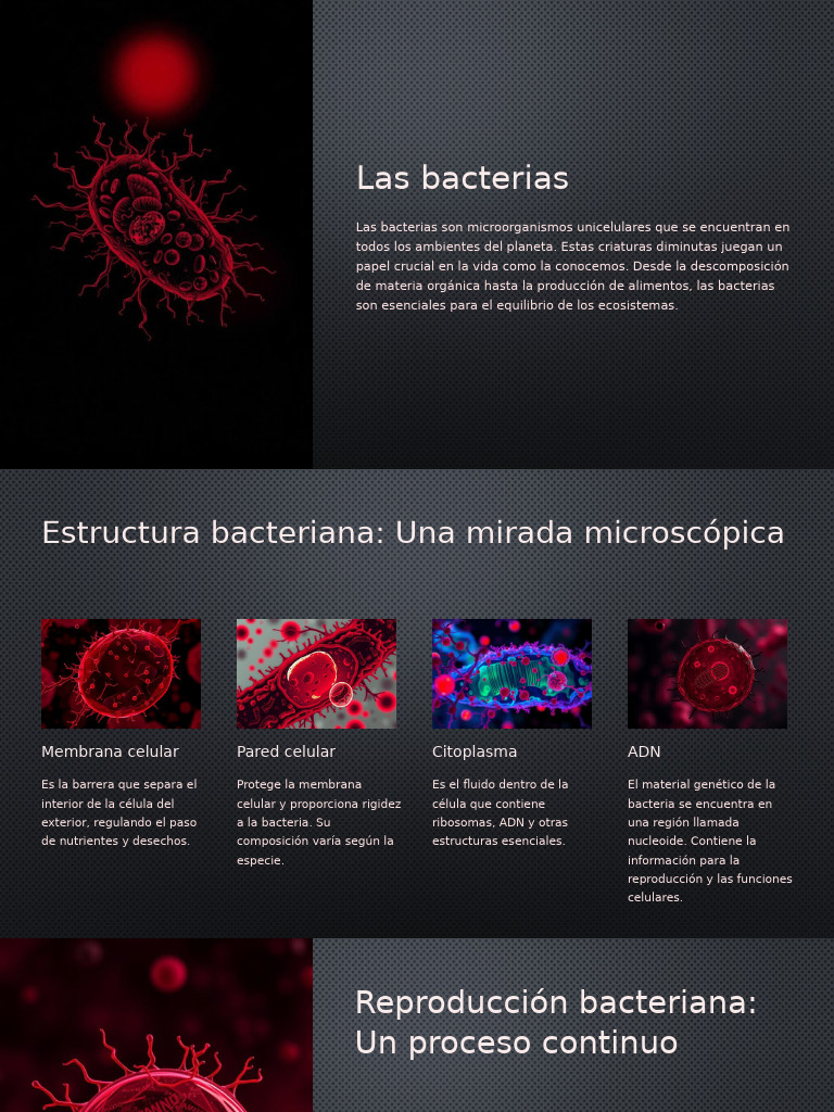 Bacterias: Estructura y Función | PDF | Las bacterias | Biología Celular)