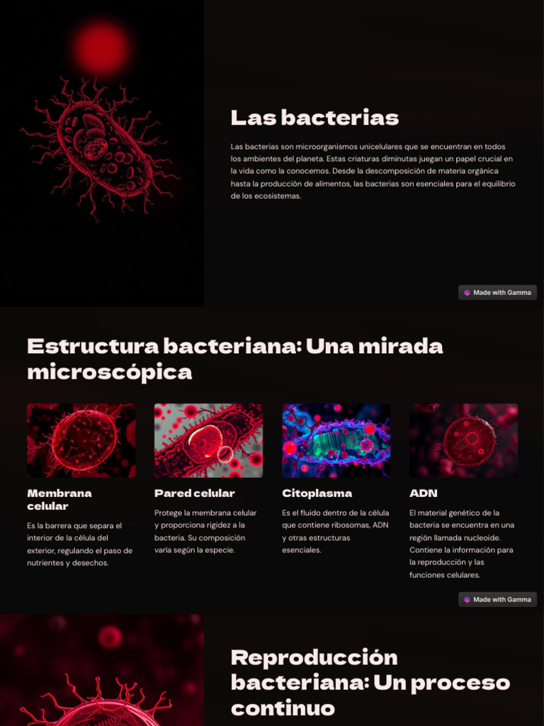 Las Bacterias | PDF | Las bacterias | Biología Celular)