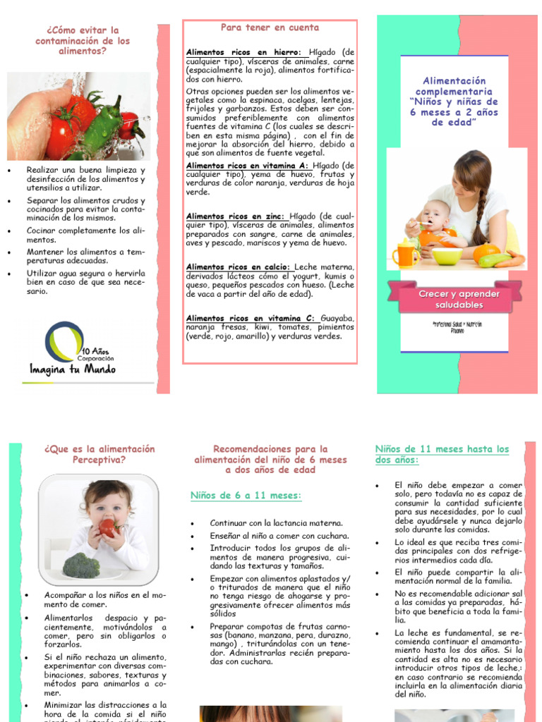 Alimentacion Complementaria | PDF | Alimentos | Vegetales