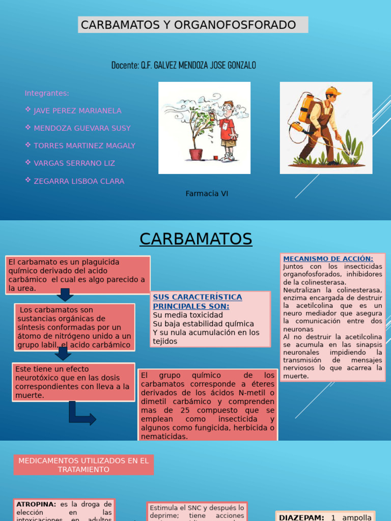 Mecanismos de Carbamatos y Organofosforados | PDF | Acetilcolina | Drogas