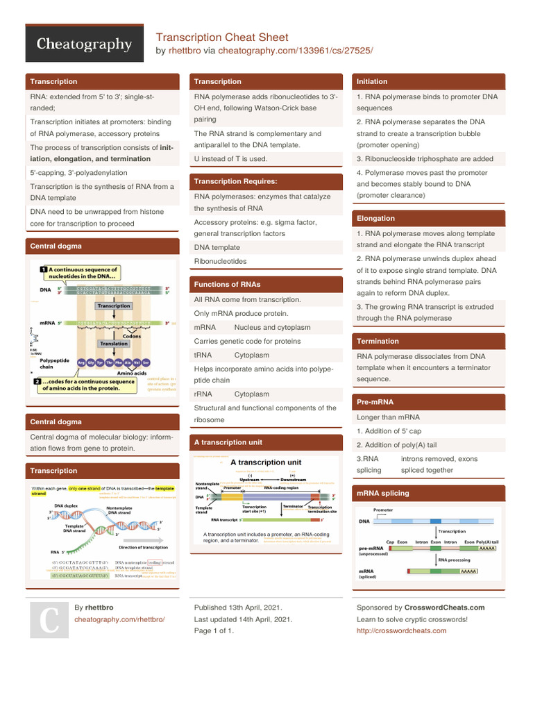 Transcription Cheat Sheet | PDF | Rna | Messenger Rna