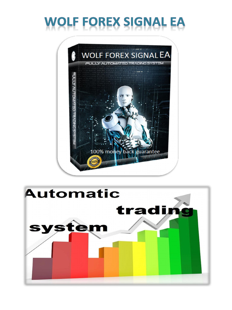 Tutorial Setting EA Wolf | PDF | Computer File | Computing