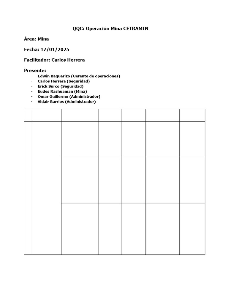 QQC Plan de Accion de Cetramin - 17.01.25 | PDF