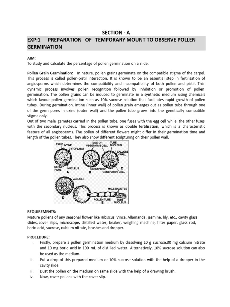 F Section - A EXP:1 Preparation of Temporary Mount To Observe Pollen ...
