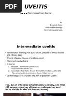 ICD-10 Codes for Uveitis Types | PDF | Immunology | Diseases Of The Eye ...