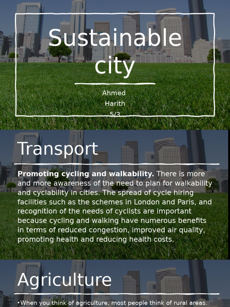 Sustainable City | PDF