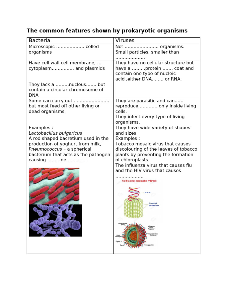 Prokaryotic Organisms: Key Features | PDF