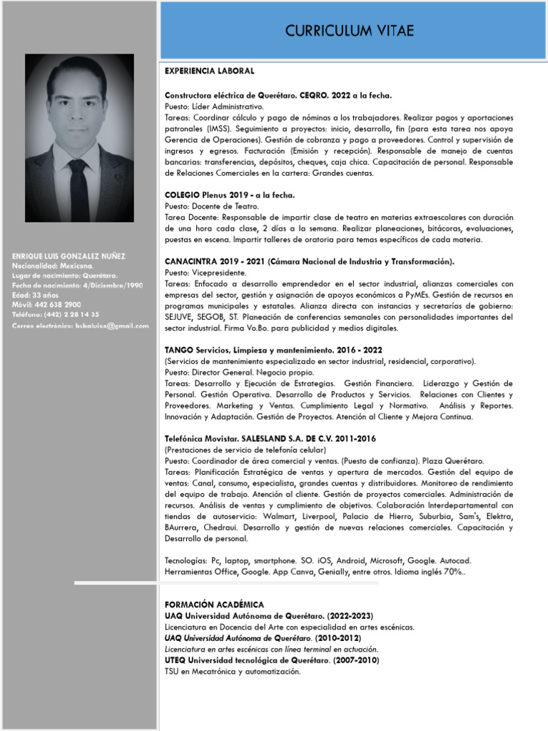 CV Luis | PDF | Business | Economias