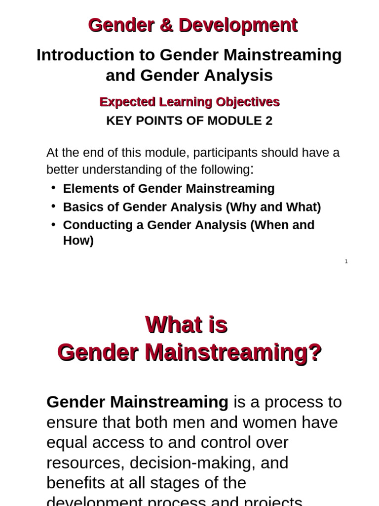 4a_Gender Mainstreaming and Analysis Tools | PDF | Gender | Gender Studies
