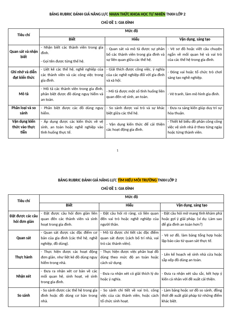 B NG Rubric TNXH L P 2 | PDF