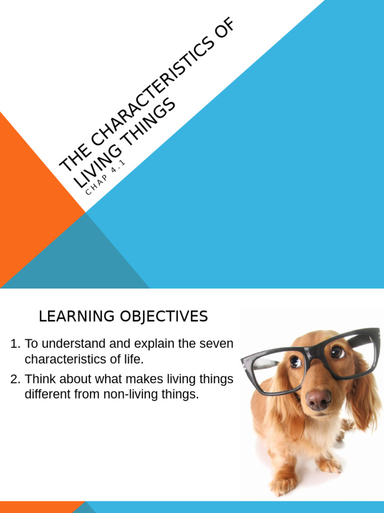 Seven Characteristics of Life Explained | PDF | Foods | Excretion