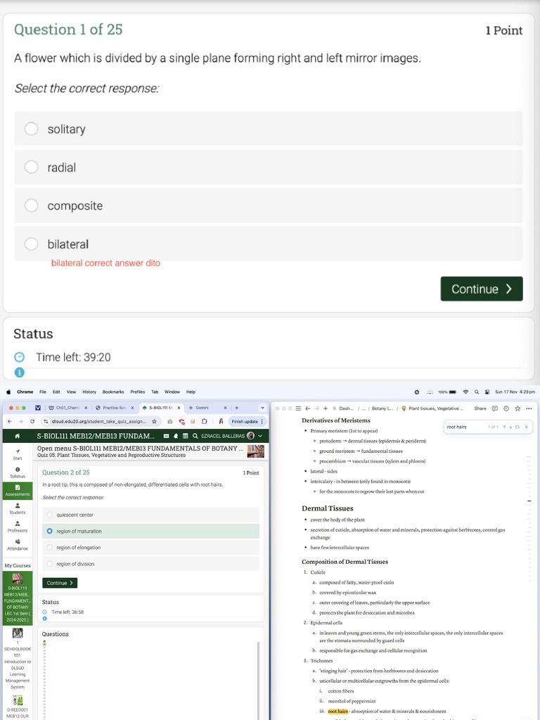 Botany Vegetative Quiz | PDF