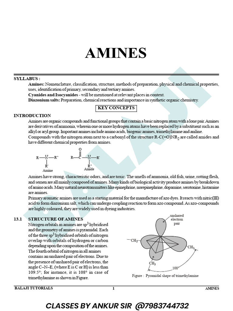 XII CHEM AMINES | PDF | Amine | Ammonium