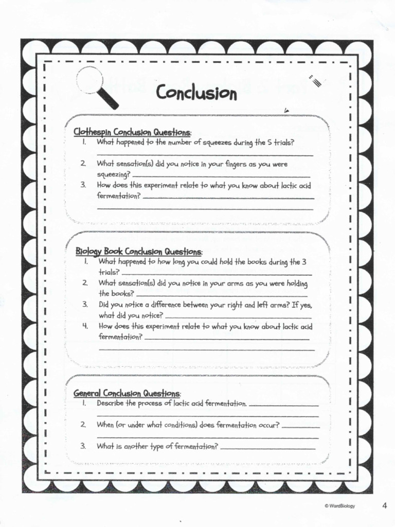 Lactic Acid Lab 4 | PDF