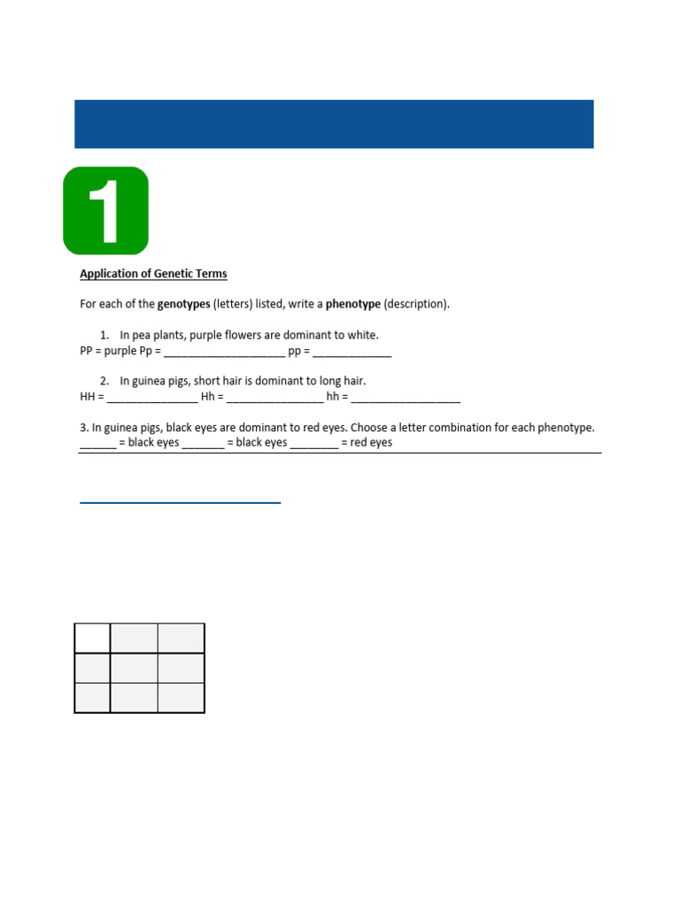 Punnett Square Practice Problems | PDF | Genotype | Dominance (Genetics)
