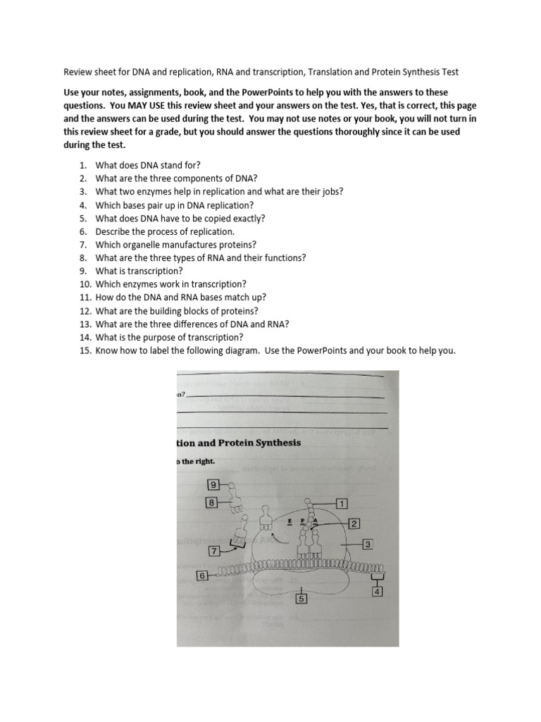 Review+Sheet+for+Replication+Test | PDF