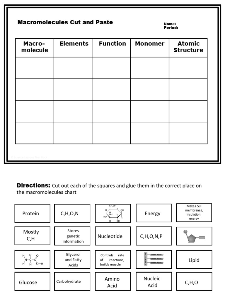 Macromolecules+Chart+Homework | PDF
