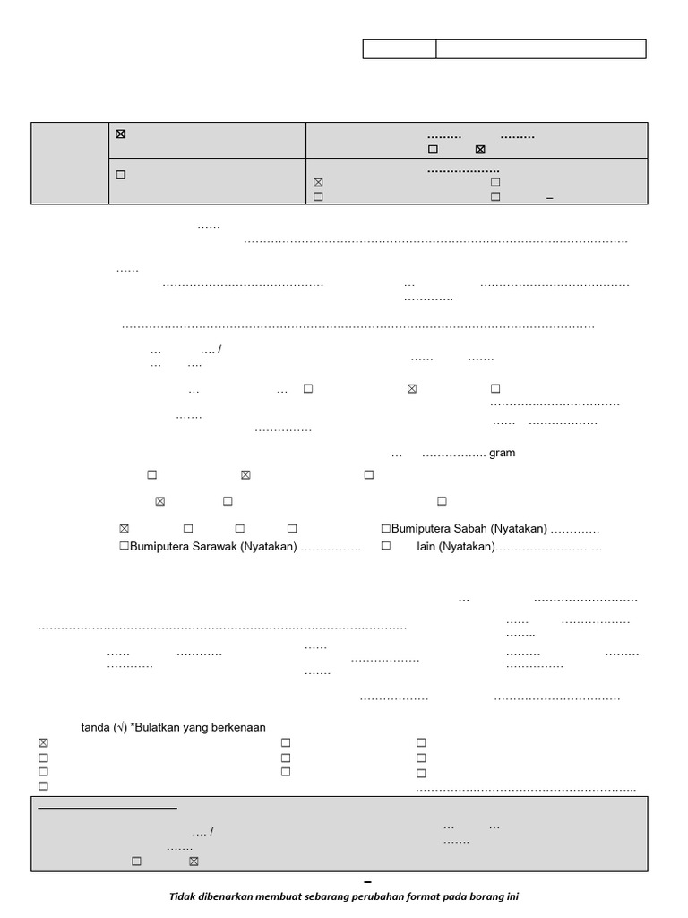 Bo Nur Irdina Syahirah Binti Abdul Ghani | PDF