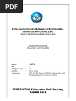 1 Program PKG 2024 - 2025 | PDF