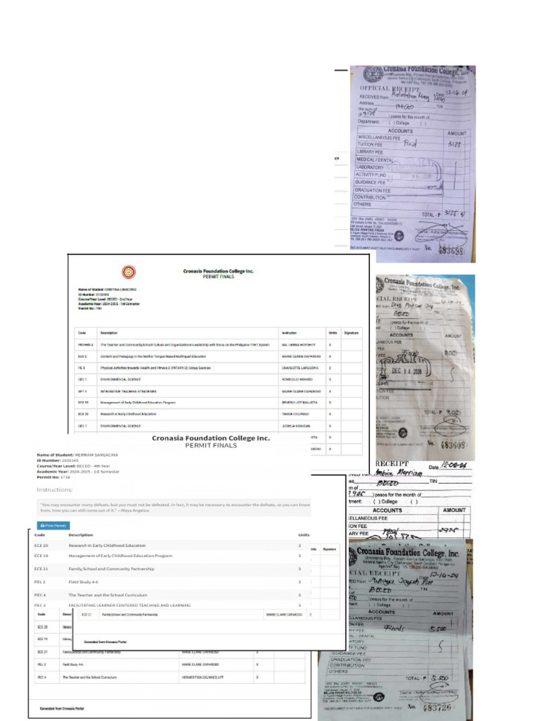 Research Permit | PDF