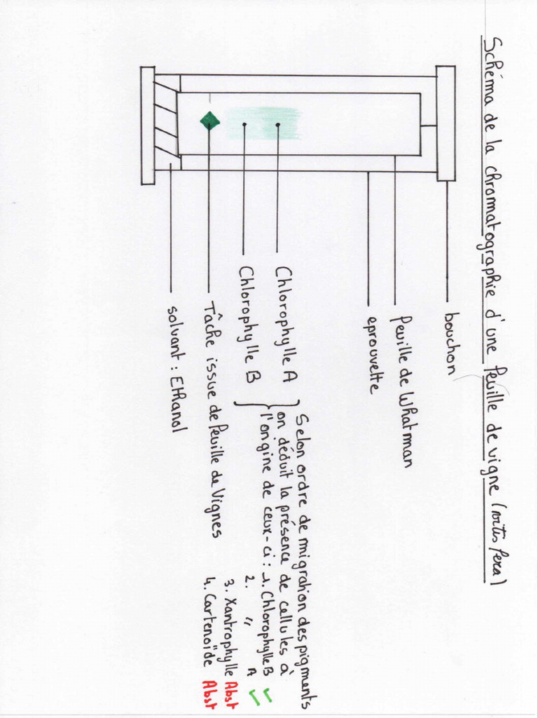 Schéma GRD Format TP 2 | PDF